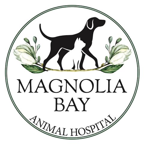 Local Family-Owned Vet Clinic In Panama City Beach, FL | Magnolia Bay