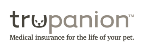 Payment Options For Vet Care | Magnolia Bay Animal Hospital